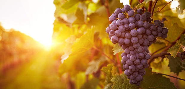 Breaking Convention – Pastor Oby Ballinger